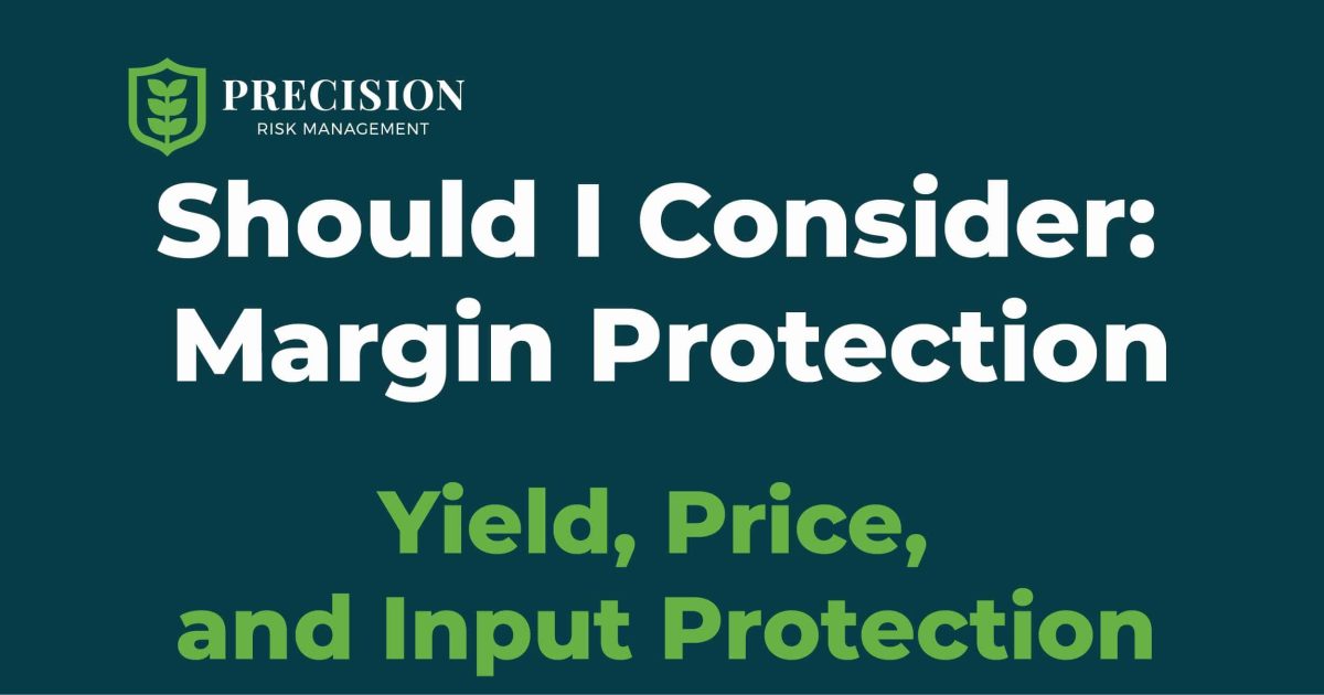 Should I Consider Margin Protection - Precision Risk Management