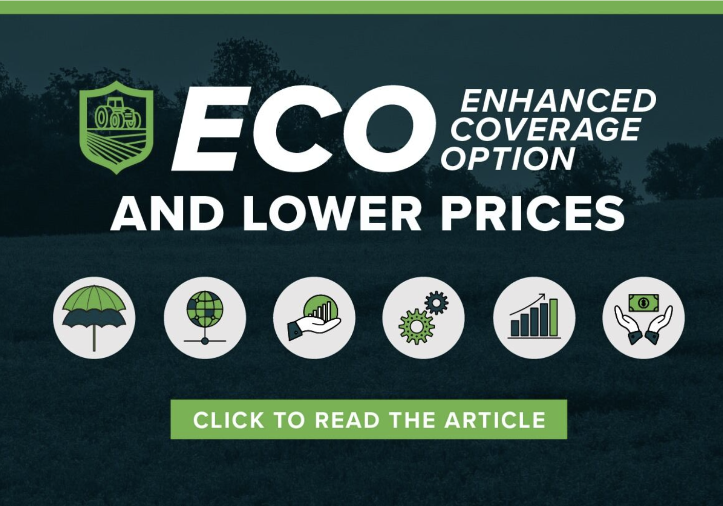 ECO And Lower Prices Precision Risk Management ECO And Lower Prices Precision Risk Management
