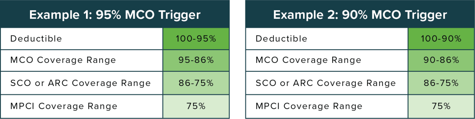 MCO INPUT COSTS ARE FINALIZED - Precision Risk Management