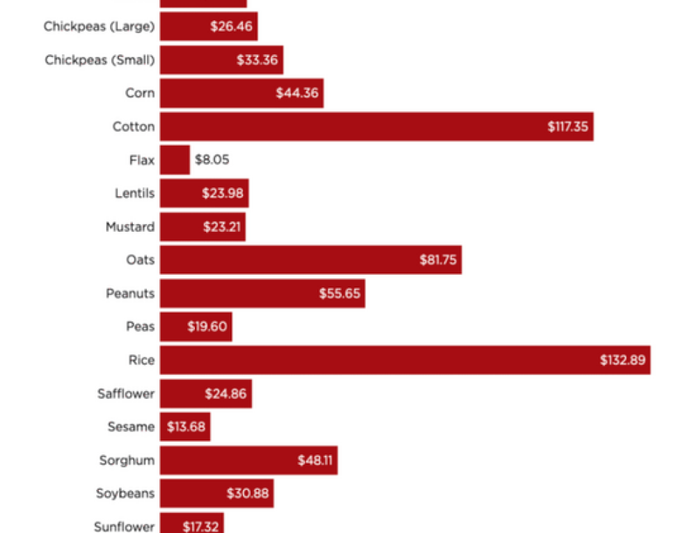 Corteva To Release 40 New 2024 Brevant Brand Corn Hybrids - Precision ...