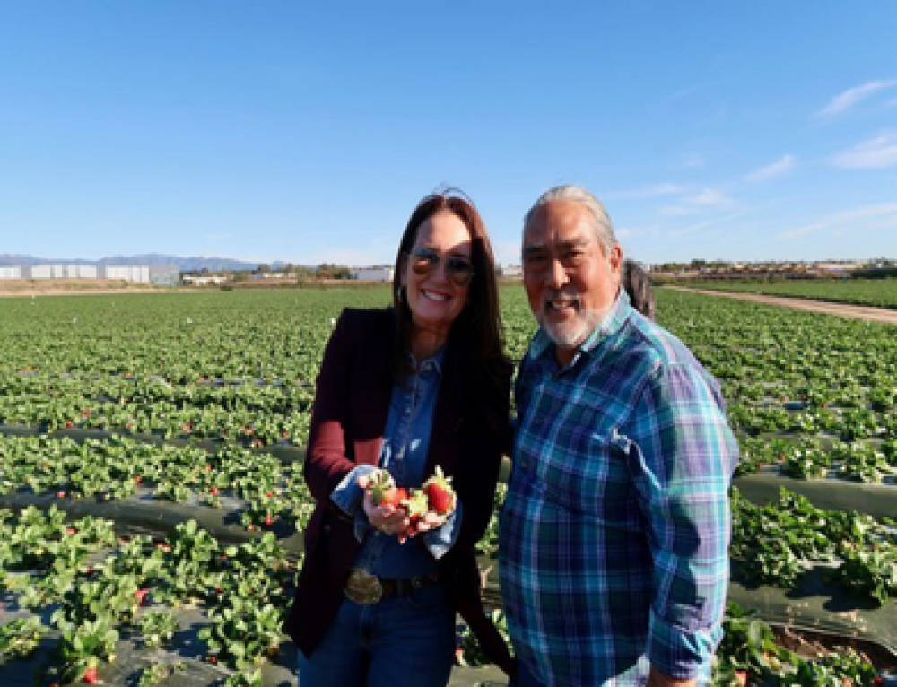 New USDA Crop Report Underscores Urgency Of Adopting Year-Round E15 ...